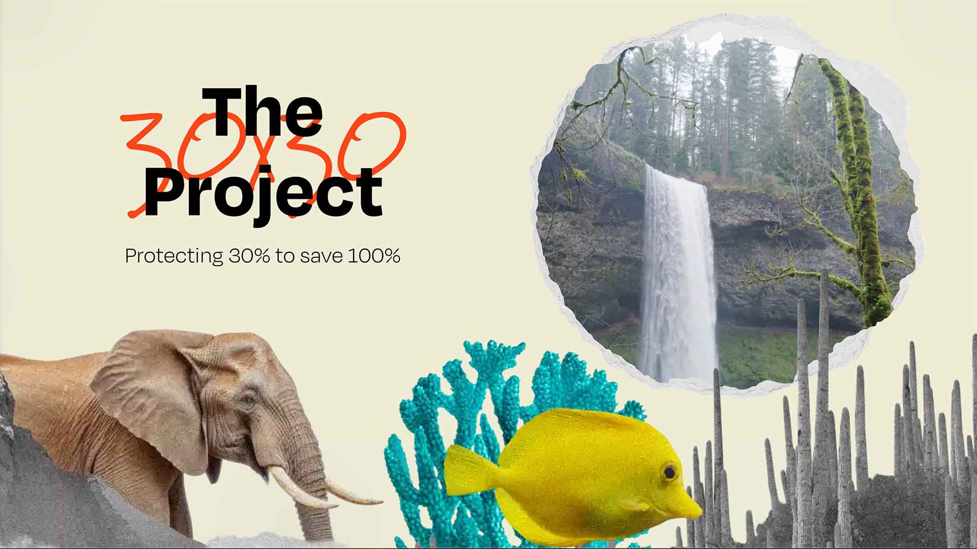 30x30 项目 | 地球分享