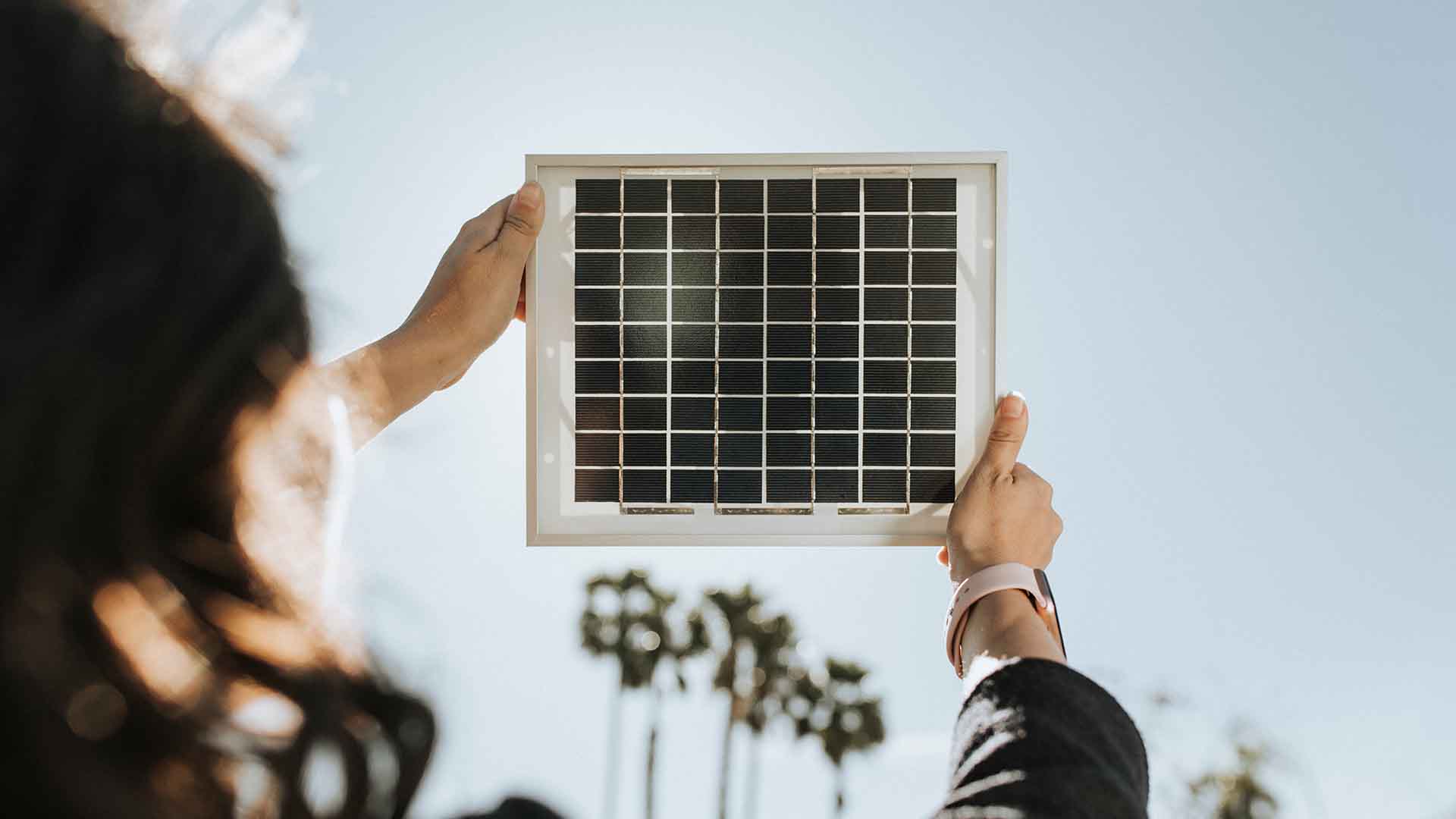 Acclimate E-Book | Get Your Free Copy Today | EarthShare