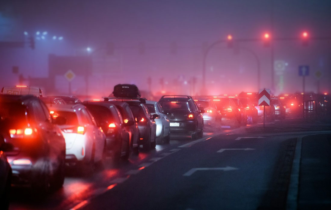 Quiz | November 2025 | Light & Noise Pollution | EarthShare